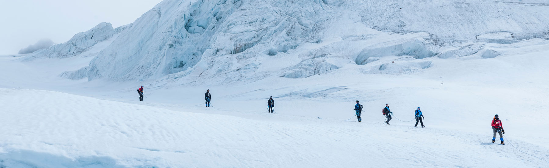 Peeps - Toasted Snow